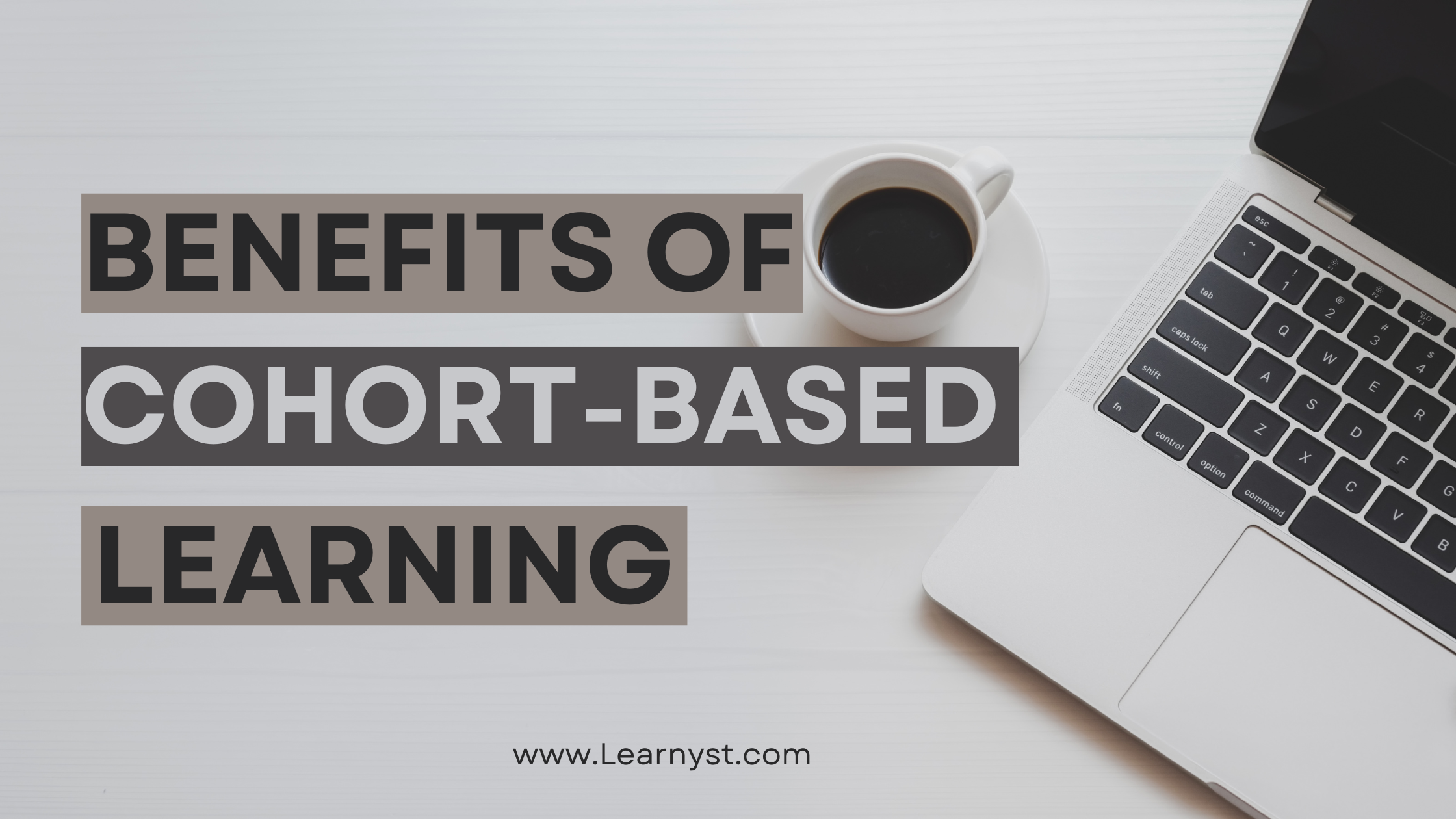 What is Cohort-Based Learning? A Dive into Collaborative Models