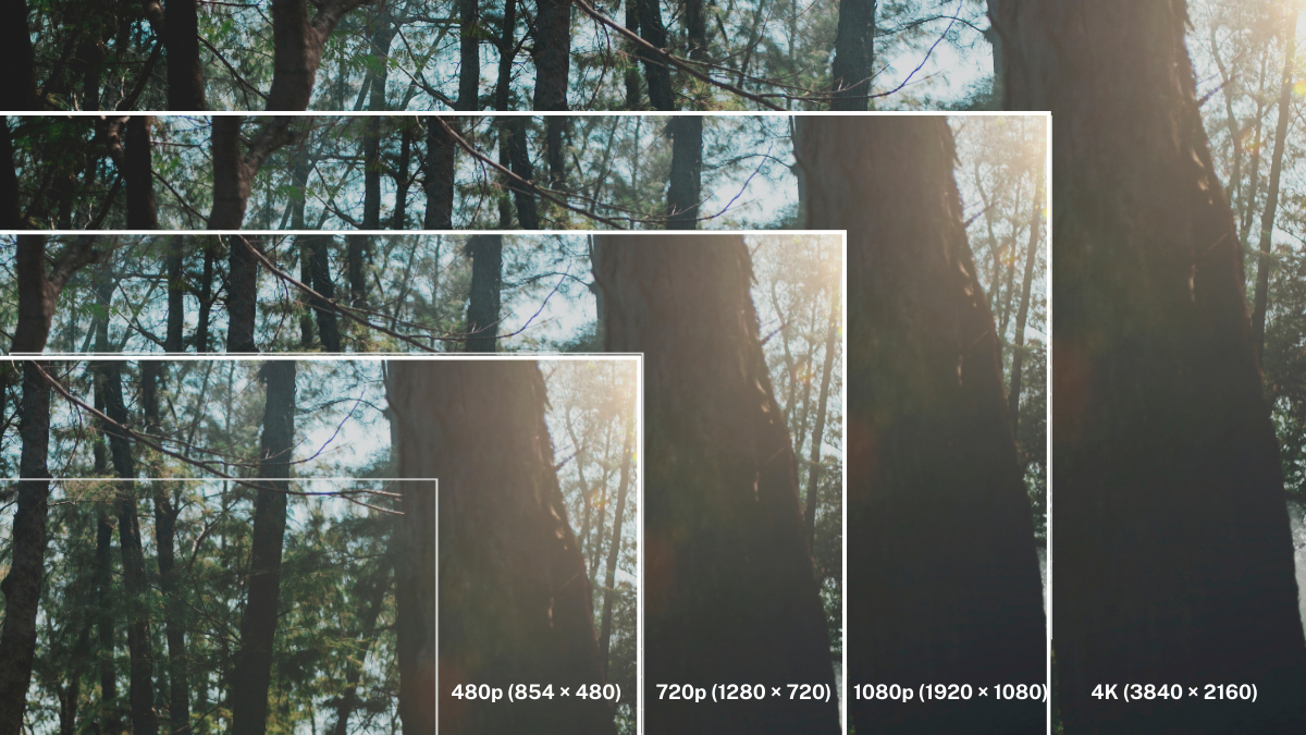 SD vs HD: Which Video Resolution is Right for Your Content?